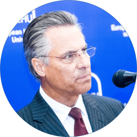 Prof. David Pollick (2014-2016)